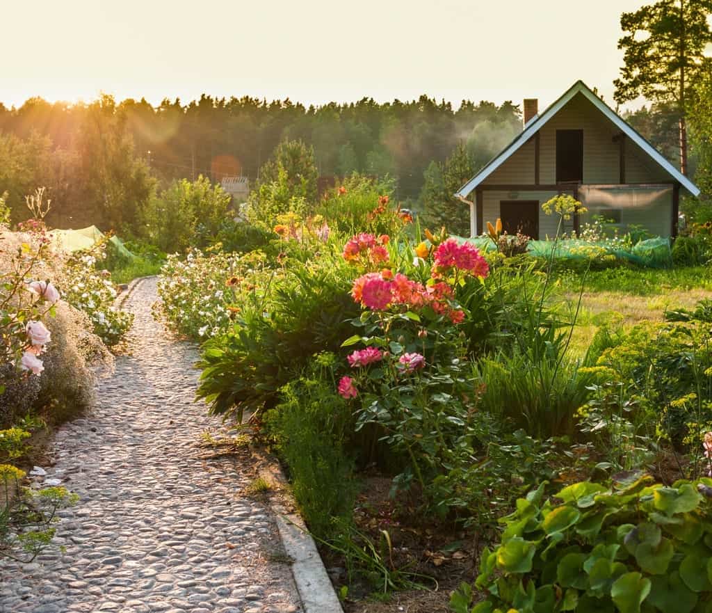 Going Alpine in the Garden | Garden Hub